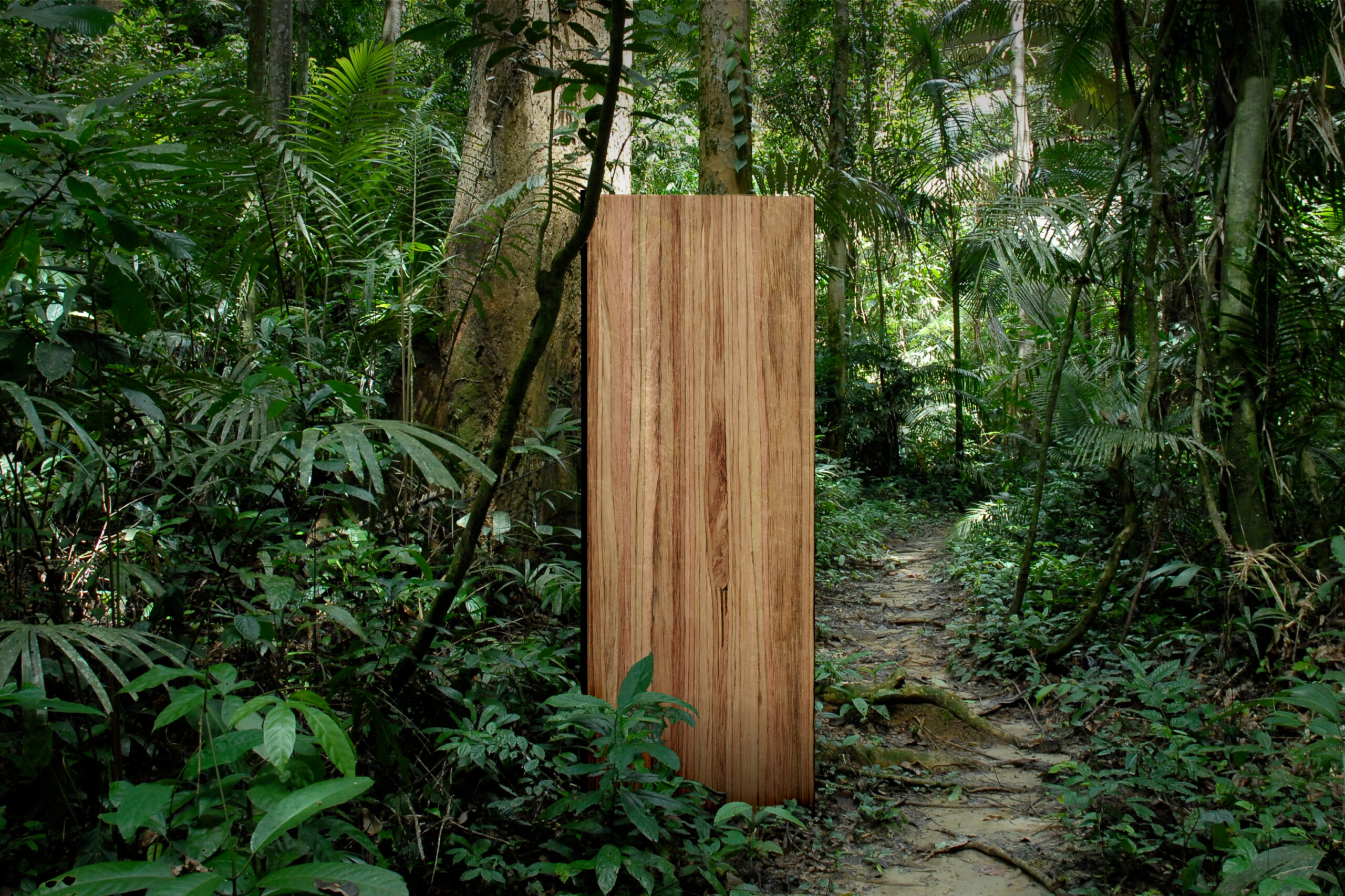 Designer Hardwood from Wood Residue - ADVANCED MANUFACTURING GROWTH CENTRE